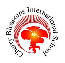 Rasim Networks - Your Trusted IT Solutions Partner